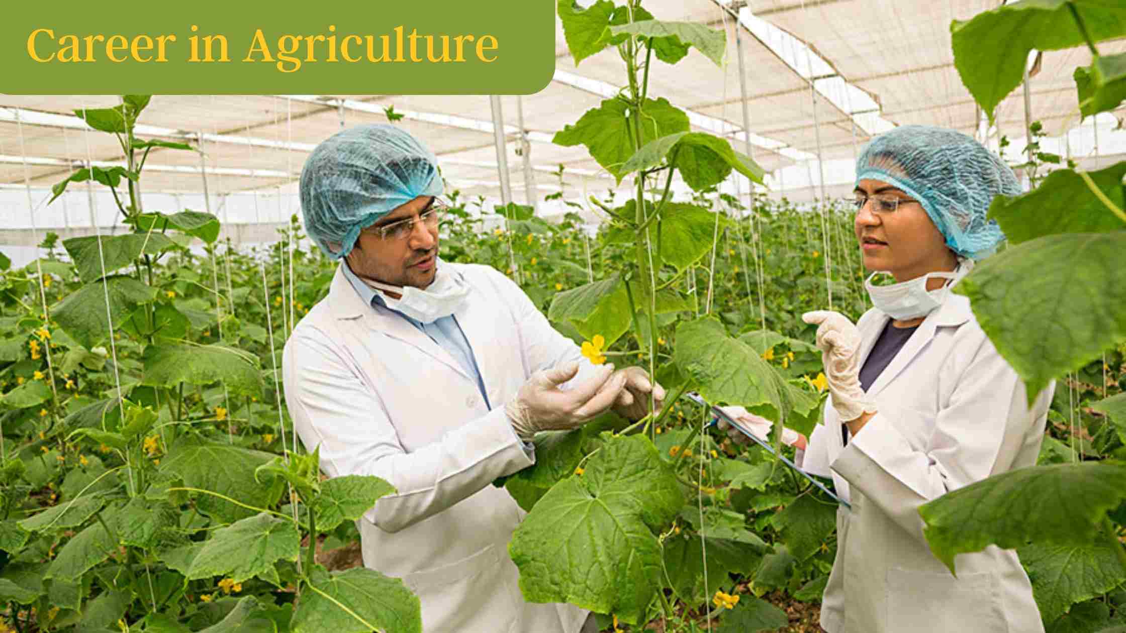 Career In Agriculture Courses List Scope Opportunity Career In Agriculture Courses List Scope Opportunity